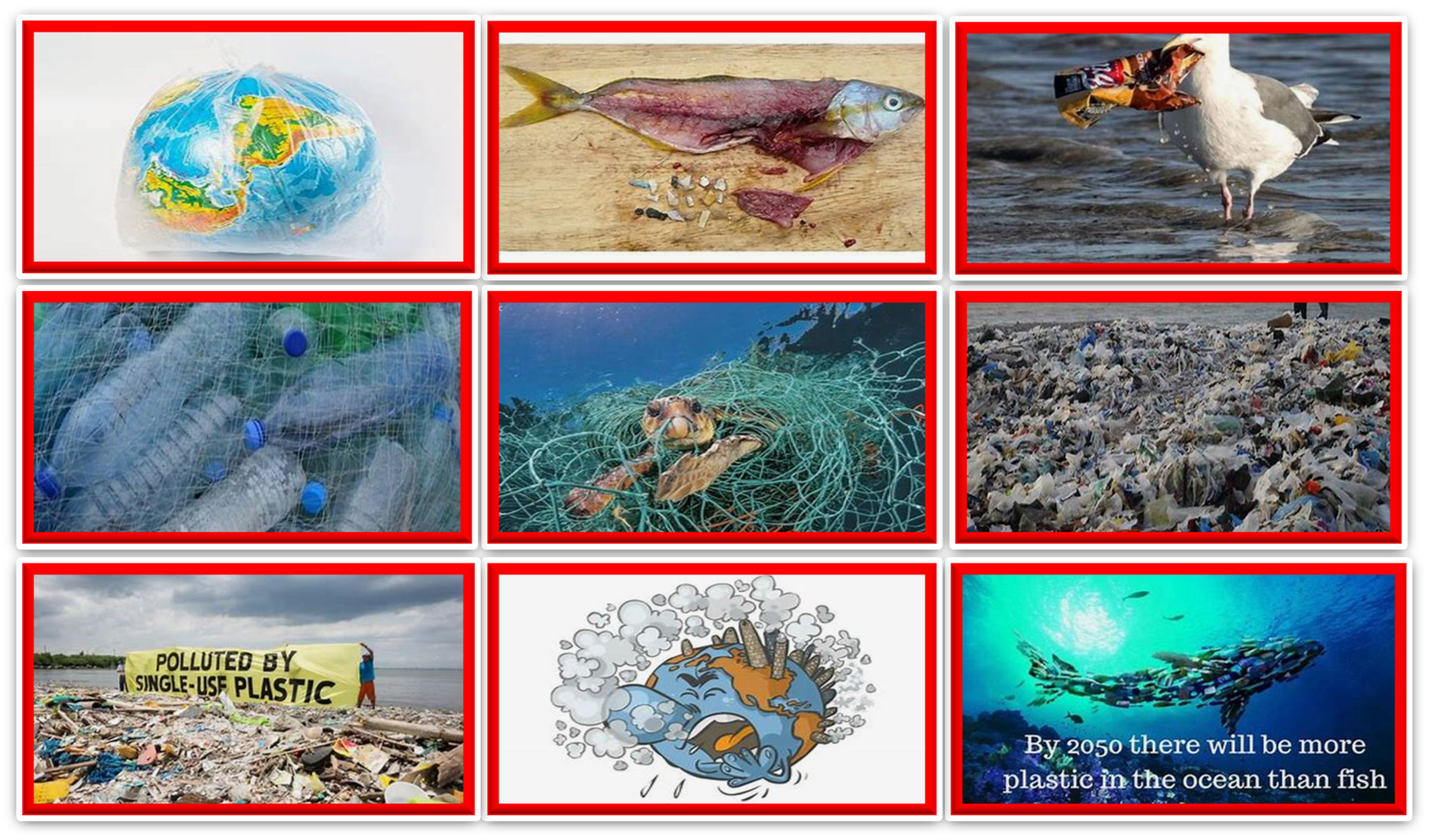 Single use plastic Ban